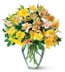 Sunshine Delight: A Collection Of Warmth - River Dell Flowers-Oradell ...