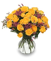 Gold Rush - River Dell Flowers-Oradell Florist-Flower Delivery