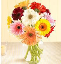 Vibrant Expression: Bursting with Spring Color - River Dell Flowers ...