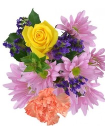 Splish Splash - River Dell Flowers-Oradell Florist-Flower Delivery