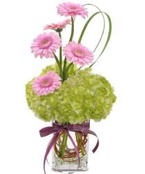 Contemporary Reflections - River Dell Flowers-Oradell Florist-Flower ...
