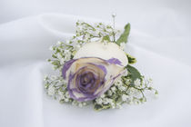 Rose Bout Tipped: White Rose tipped in paint - River Dell Flowers ...